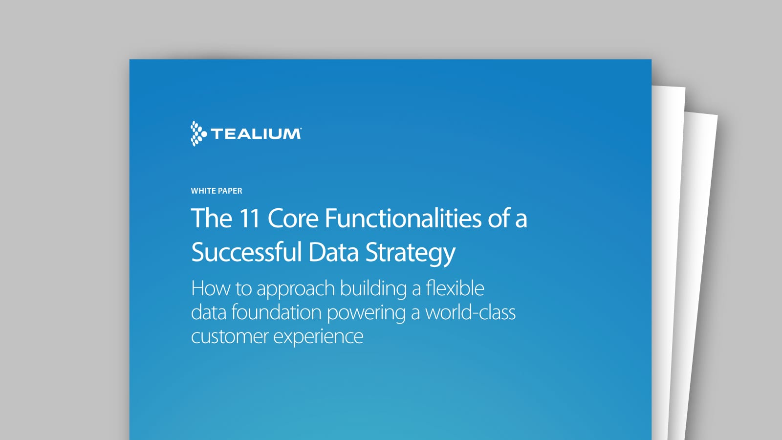 The 11 Core Functionalities of a Successful Data Strategy - Tealium