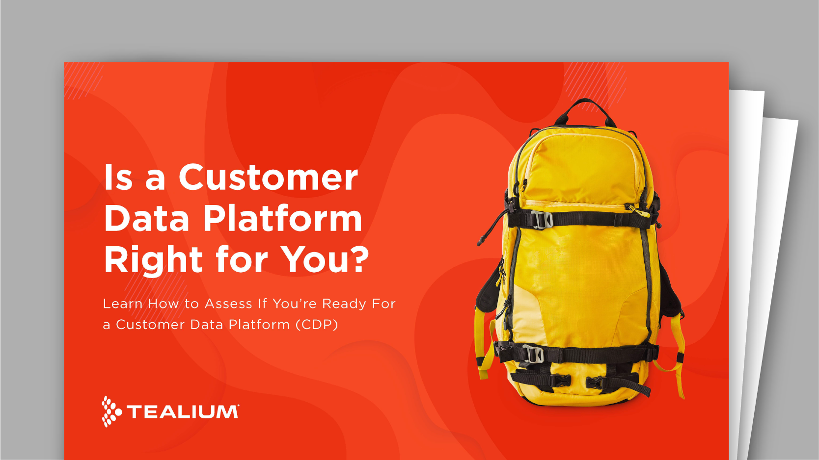 Is a Customer Data Platform Right for You - Tealium