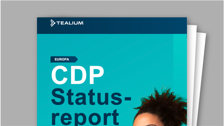 The State of the CDP Europe. How Organisations Buy, Implement, and Use CDPs