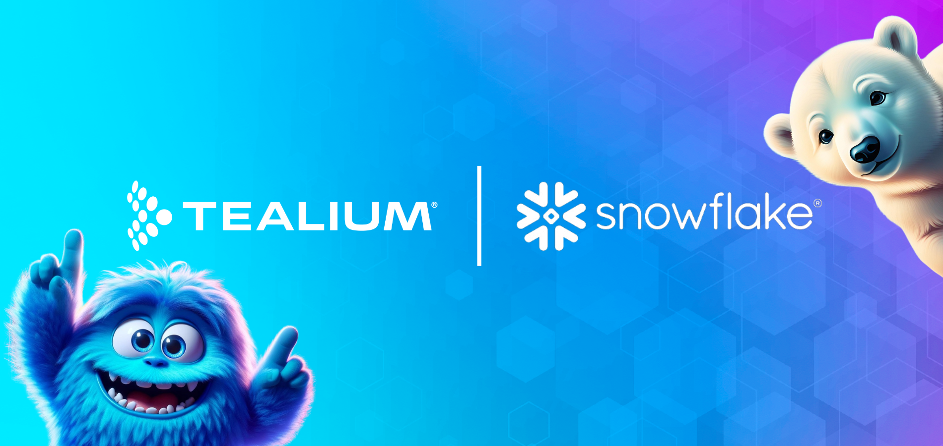 Better Together: Tealium and Snowflake | Tealium